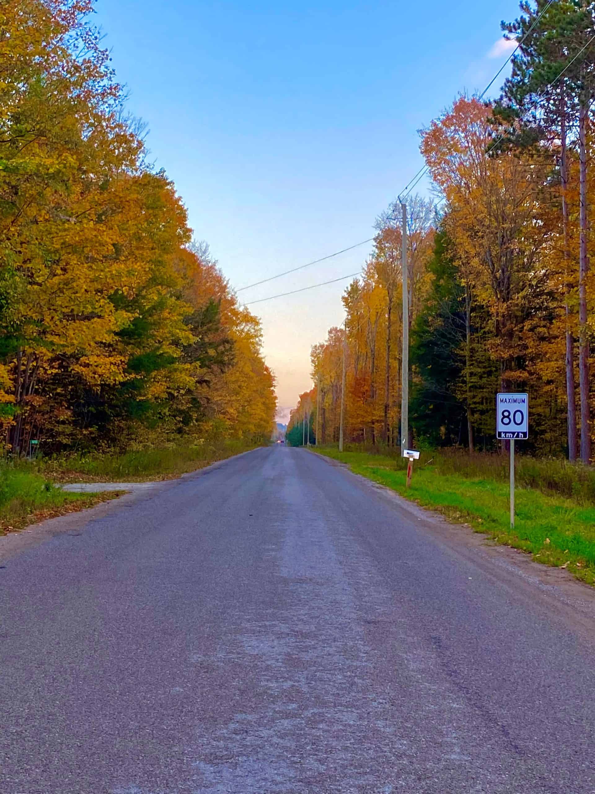 The Best Places to Experience Fall Foliage in Simcoe Muskoka - Your ...