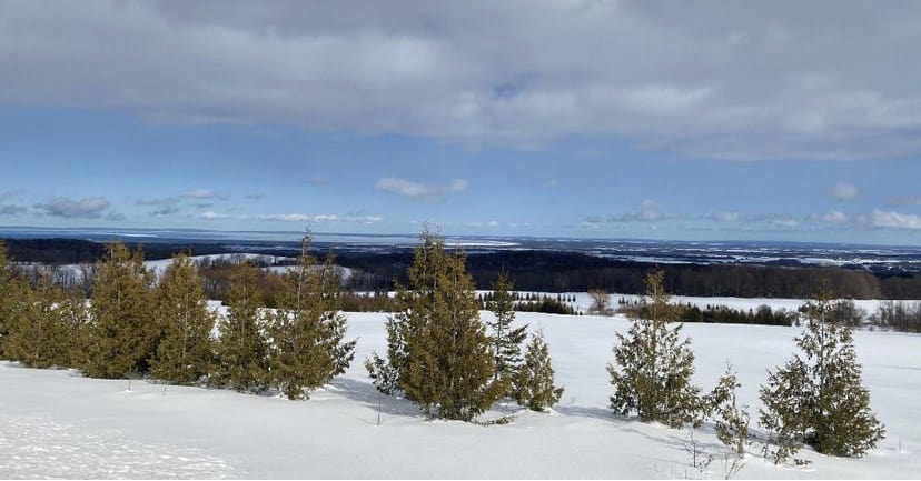 Living in Nottawa - Your North Life | Simcoe Muskoka Real Estate